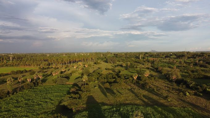 Green Earth in Perundurai, Erode by Green City Builders ...