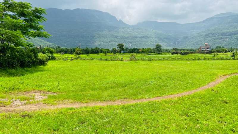 Agricultural Land 7 Acre for Sale in Karjat, Mumbai (REI1234365)