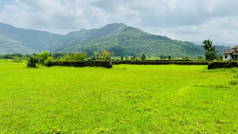 Agricultural Land 7 Acre for Sale in Karjat, Mumbai (REI1234365)