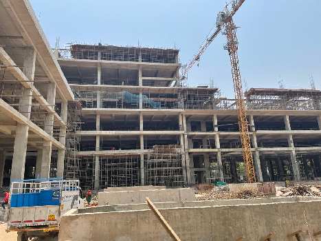 Showroom for Sale in Sector 62, Mohali (REI1094263)