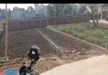 Commercial Land for Sale in Khagaul Road, Patna (REI1139396)